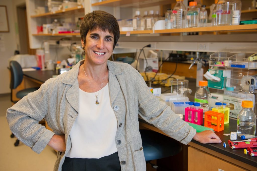 Professor Sandra Hewett recognized by National Institute of ...