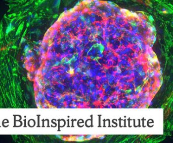 Home - BioInspired – Syracuse University